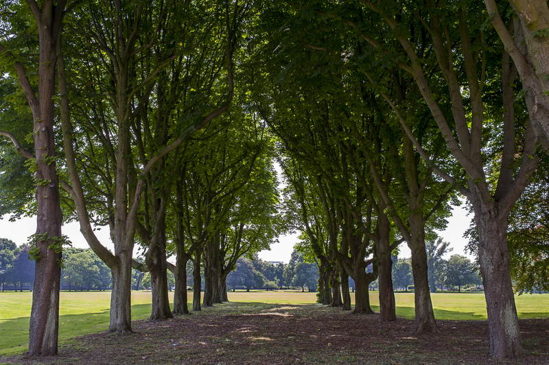 Visite du Domaine Chérioux par le CAUE 94 – Lycée Adolphe Chérioux